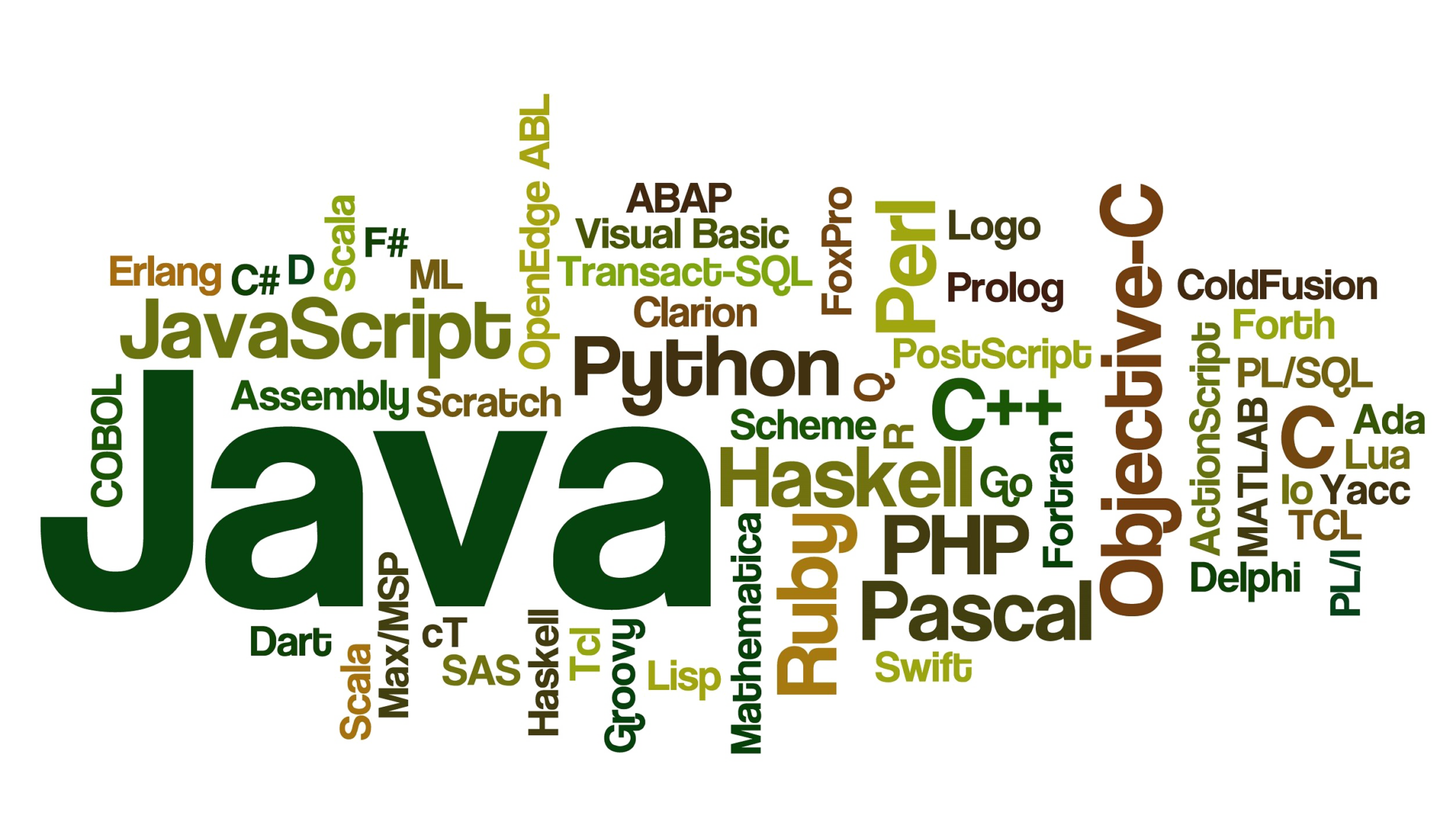 Camelq Software Solutions – Software Solutions